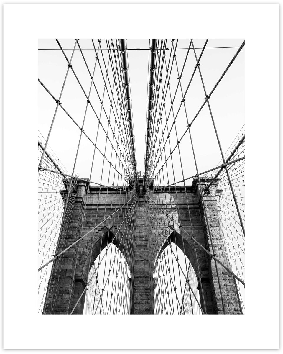 LINES – Collection 34